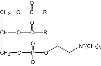 Lecithin Structure