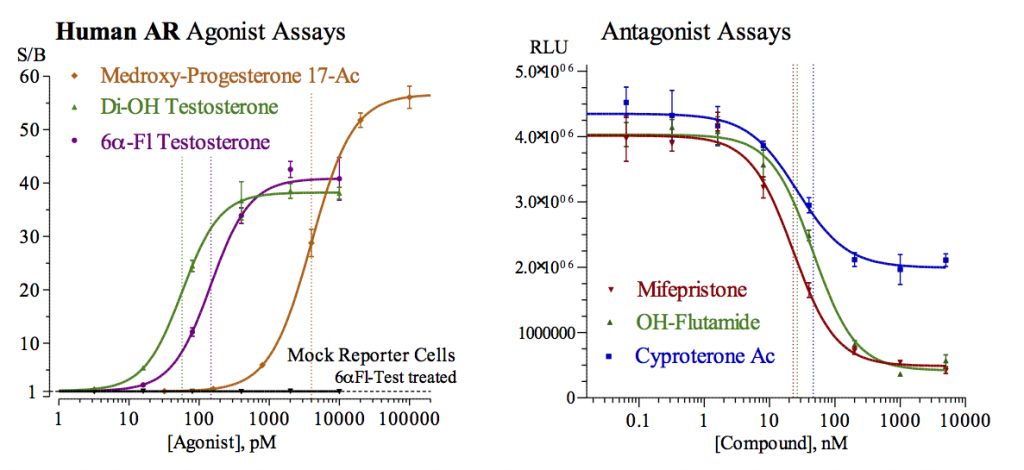 AR (human) Reporter Assay Kit | Indigo Biosciences | Biomol.com