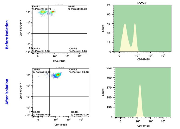 ReadiPrep(TM) CD4+ Cell Isolation Kit *Optimized for processing 30 mL ...