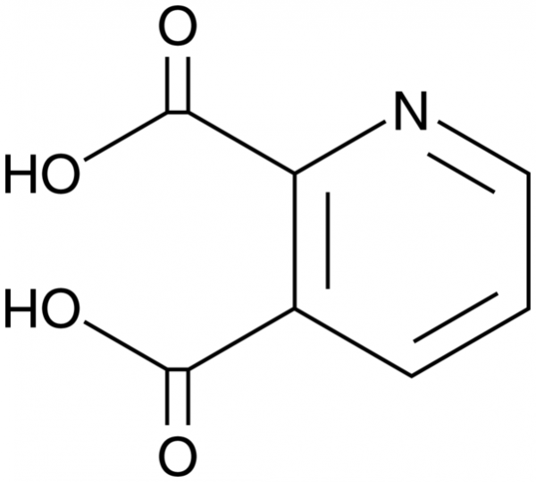 Quinolinic Acid | CAS 89-00-9 | Cayman Chemical | Biomol.com