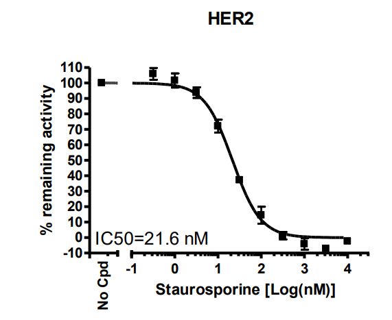 HER2 Kinase Assay Kit | BPS Bioscience | Biomol.com