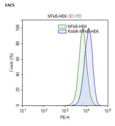RANK / NF-kappaB Reporter - HEK293 Recombinant Cell Line | BPS ...