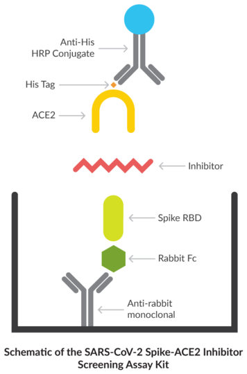 SARS-CoV-2 Spike-ACE2 Interaction Inhibitor Screening Assay Kit | Cayman Chemical | Biomol.com