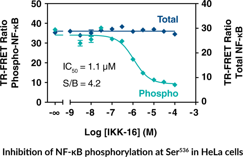 NF-kappaB (Total) TR-FRET Assay Kit | Cayman Chemical | Biomol.com
