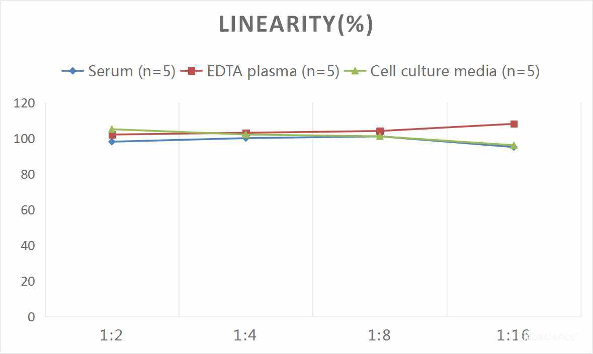 Human HLA-B27 (Human Leukocyte Antigen B27) CLIA Kit | Elabscience ...