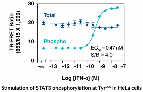 STAT3 (Total) and STAT3 (Phospho-Tyr705) TR-FRET Assay Kit | Cayman Chemical | Biomol.com