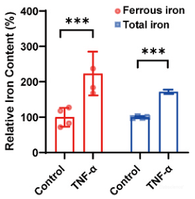 Cell Ferrous Iron Colorimetric Assay Kit | Elabscience | Biomol.com