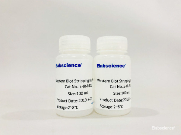 Western Blot Stripping Buffer (Neutral) | Elabscience | Biomol.de