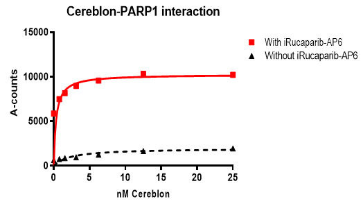 PROTAC(R) Optimization Kit for PARP1-Cereblon Binding | BPS Bioscience | Biomol.com