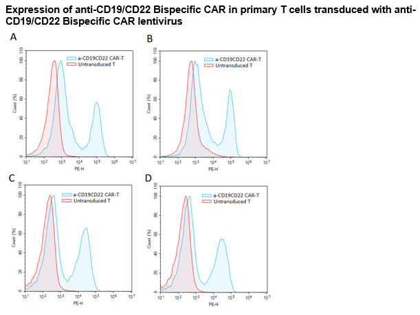 Anti-CD19/CD22 Bispecific CAR Lentivirus (Clones FMC63/m971 ScFv-CD8-4 ...