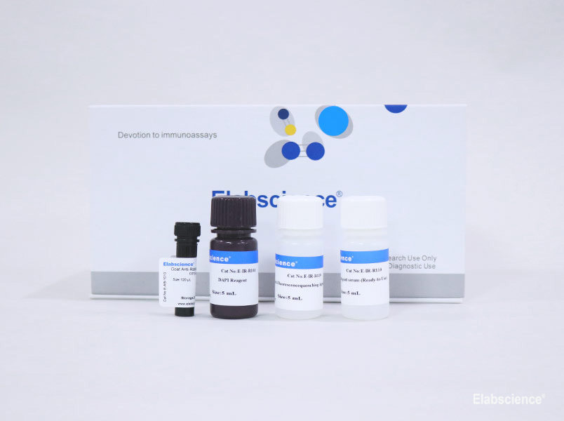 Immunol Fluorescence Staining Kit (Anti-Rabbit IgG-Cyanine3 ...