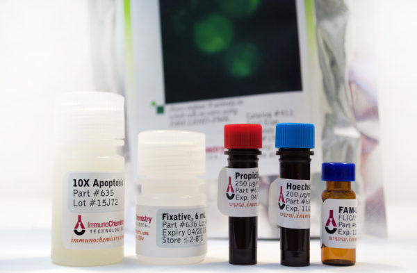 FAM-FLICA(R) Caspase 9 Assay Kit | ImmunoChemistry Technologies ...