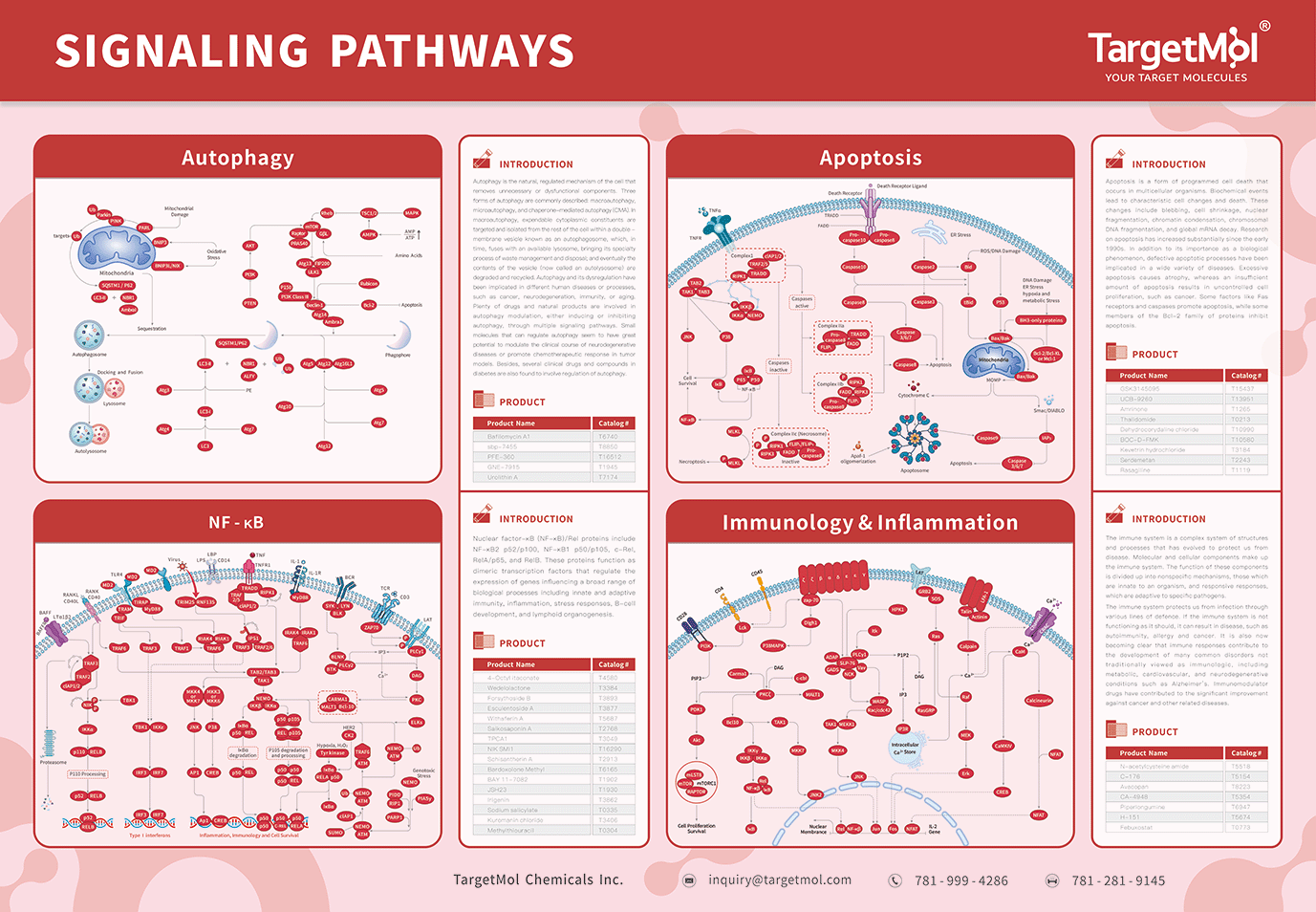 Signaling Pathways Immunology Poster | TargetMol | Biomol.com