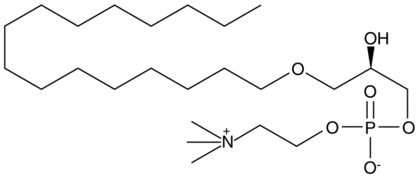 Lyso-PAF C-16 | CAS 52691-62-0 | Cayman Chemical | Biomol.de