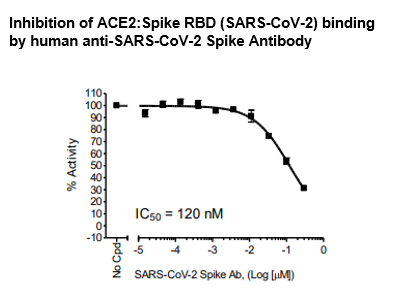 ACE2: Spike S1 RBD, Mouse Fc-fusion (SARS-CoV-2) Inhibitor Screening Colorimetric Assay Kit ...