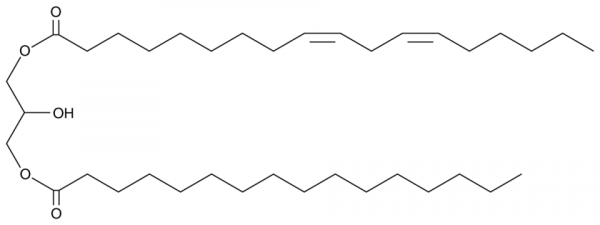 1-Linoleoyl-3-Palmitoyl-rac-glycerol | CAS 99032-71-0 | Cayman Chemical ...