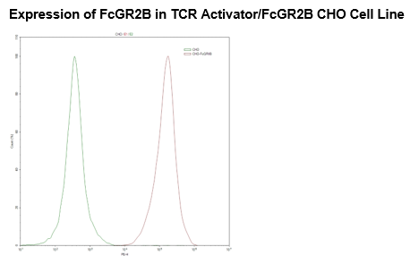 TCR Activator/FcGR2B CHO Cell Line | BPS Bioscience | Biomol.com