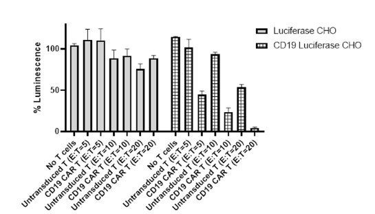 Anti-CD19 CAR Lentivirus (CD19 ScFv-CD8-4-1BB-CD3zeta, PuroR) | BPS ...