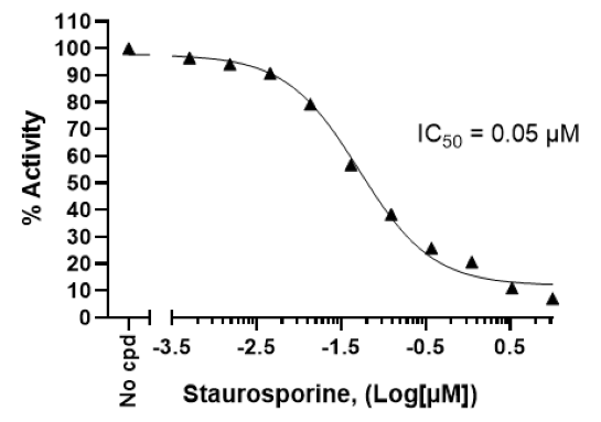 Chemi-Verse(TM) ERK2 Kinase Assay Kit | BPS Bioscience | Biomol.de