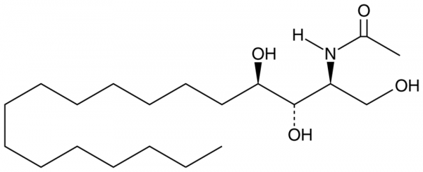 C2 Phytoceramide (t18:0/2:0) | CAS 21830-28-4 | Cayman Chemical ...