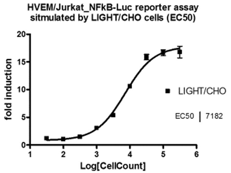 LIGHT-Responsive HVEM/NF-kappaB Reporter Jurkat Cell Line | BPS ...