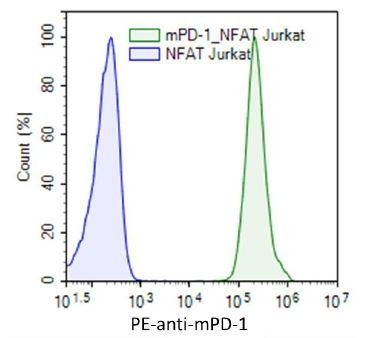 PD-1 (Mouse) / NFAT - Reporter - Jurkat Recombinant Cell Line | BPS Bioscience | Biomol.com