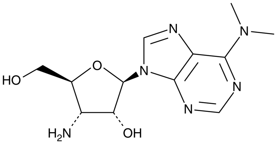 Puromycin Aminonucleoside | CAS 58-60-6 | Cayman Chemical | Biomol.com