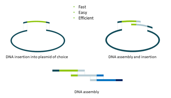 Quick PCR(TM) Plus Assembly Kit | BPS Bioscience | Biomol.de