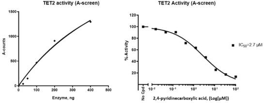 TET2 Homogeneous Assay Kit | BPS Bioscience | Biomol.com