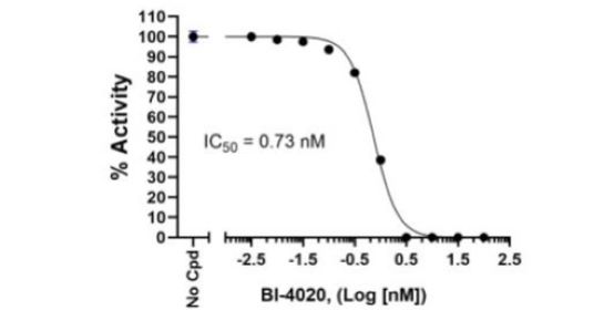EGFR (T790M, C797S) (del746-750) Kinase Assay Kit | BPS Bioscience ...