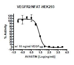 VEGFR2 / NFAT Reporter - HEK293 Recombinant Cell Line | BPS Bioscience ...