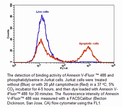 Cell Meter(TM) Annexin V Binding Apoptosis Assay Kit, Green ...