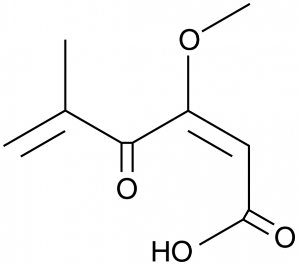 Penicillic Acid | CAS 90-65-3 | Cayman Chemical | Biomol.de