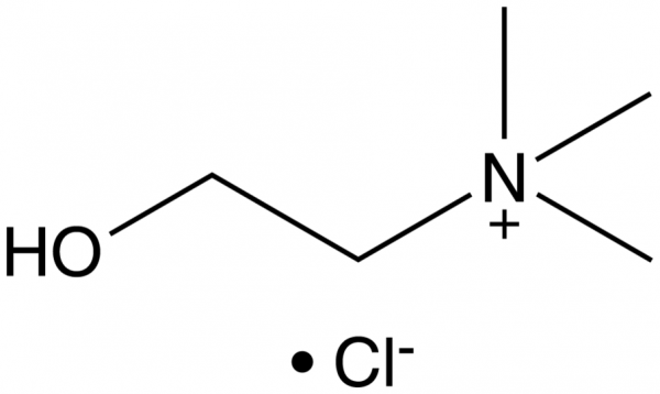 choline group structure