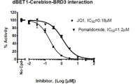 Cereblon Binding Assay Kit | BPS Bioscience | Biomol.com