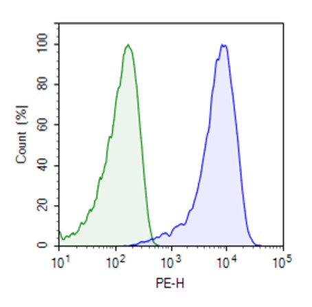 TCR/B2M Knockout NFAT Luciferase Reporter Jurkat Cell Line | BPS Bioscience | Biomol.de