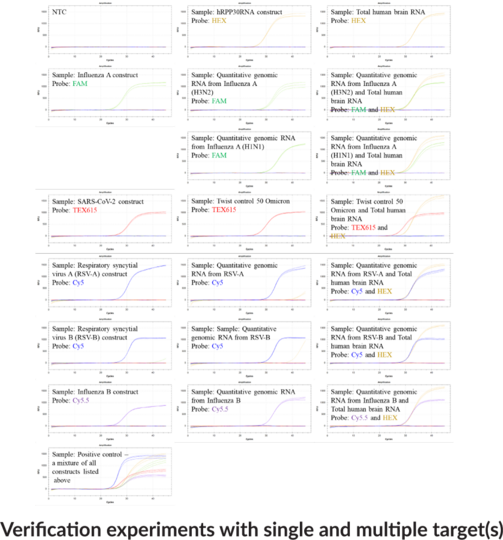 Virus-URP5 (Bio-Rad) Multiplexed RT-qPCR Assay | Cayman Chemical ...