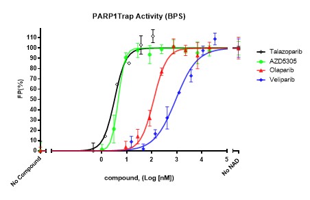 PARPtrap(TM) Combo Assay Kit for PARP1 and PARP2 | BPS Bioscience | Biomol.com