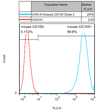 CHO-K1/mouse CD155 Stable Cell Line | GenScript | Biomol.com