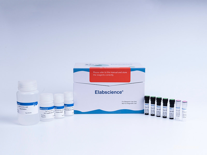 One-step TUNEL Flow Cytometry Apoptosis Kit (Red, AF555) | Elabscience ...