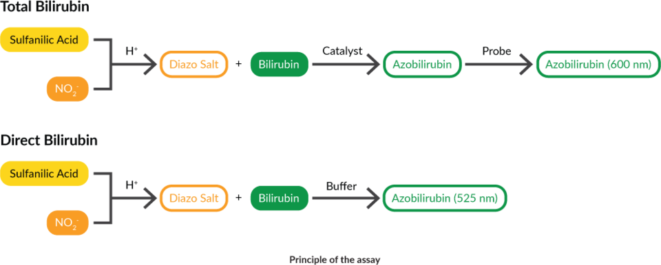 Total And Direct Bilirubin Colorimetric Assay Kit Cayman Chemical Biomol De