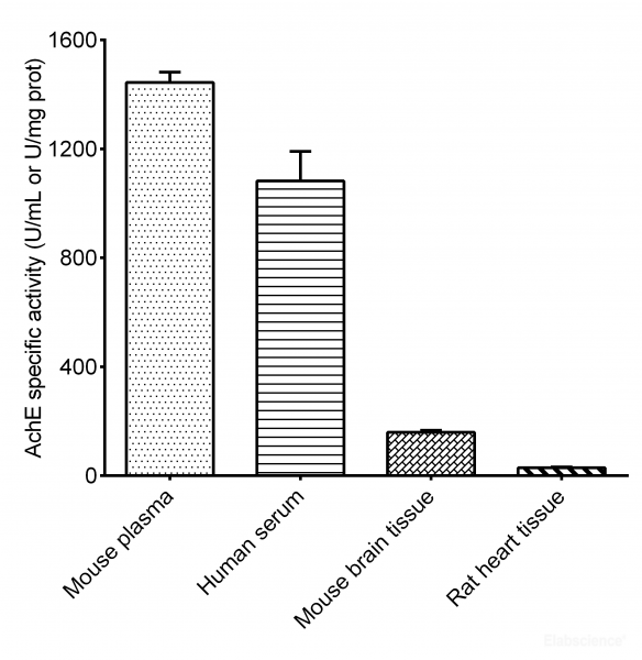 Acetylcholinesterase (AchE) Activity Assay Kit | Elabscience | Biomol.com
