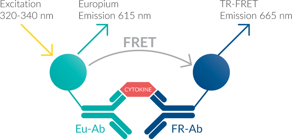 GM-CSF (human) TR-FRET Biomarker Assay Kit | Cayman Chemical | Biomol.com