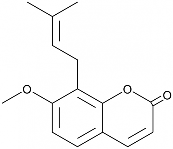 Osthole | CAS 484-12-8 | Cayman Chemical | Biomol.de
