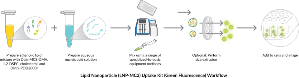 Lipid Nanoparticle (LNP-MC3) Uptake Kit (Green Fluorescence) | Cayman ...
