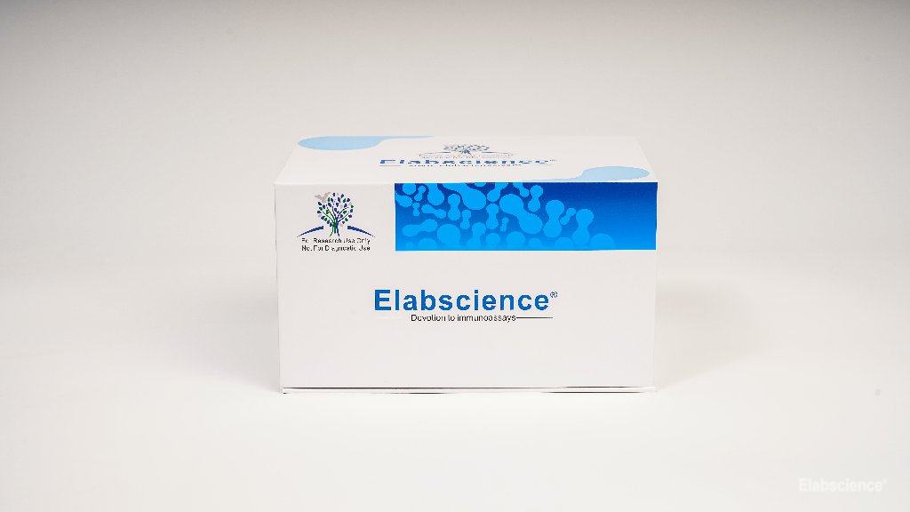CFSE Cell Division Tracker Kit | Elabscience | Biomol.com