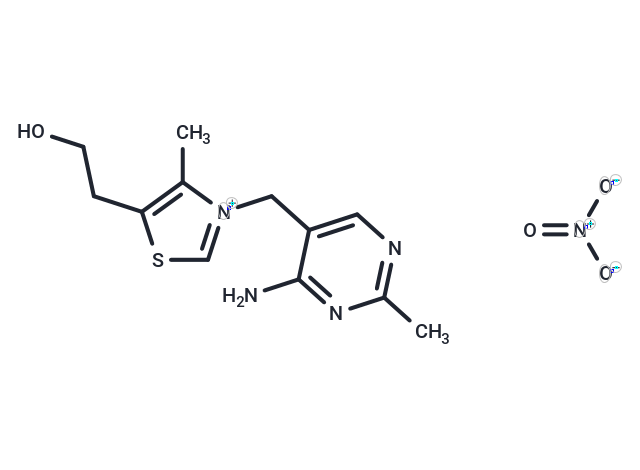 Thiamine nitrate | CAS 532-43-4 | TargetMol | Biomol.com