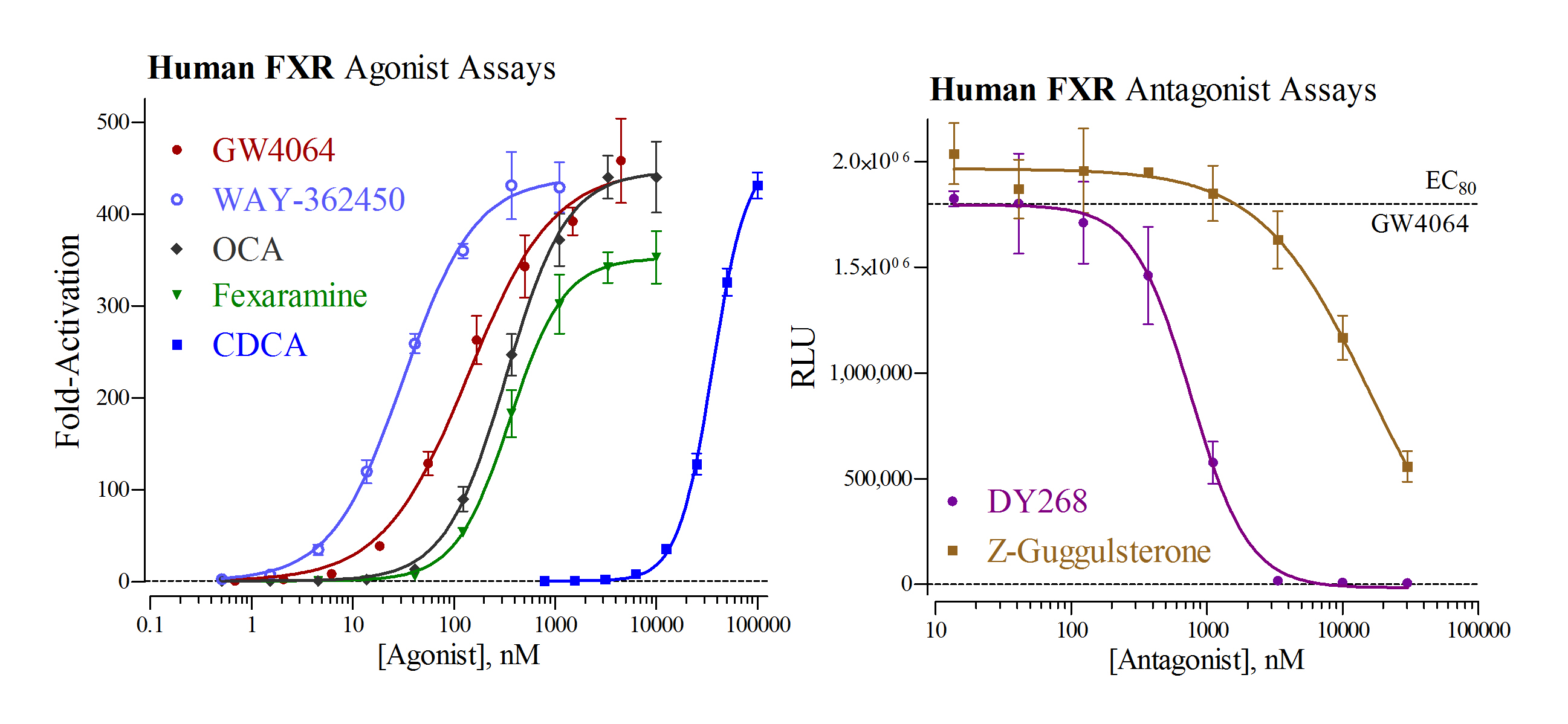 FXR (human) Reporter Assay Kit | Indigo Biosciences | Biomol.com