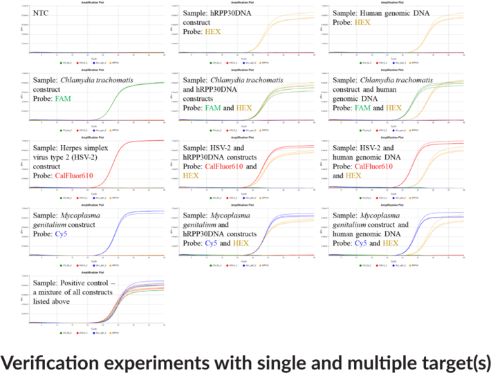 STI9 4-color (QuantStudio) Multiplexed qPCR Assay | Cayman Chemical ...