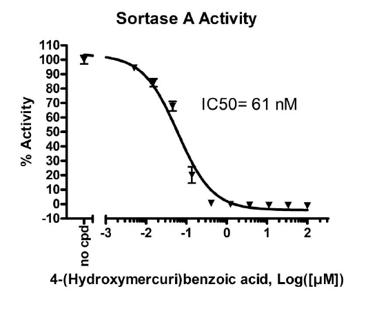 Sortase A Assay Kit | BPS Bioscience | Biomol.de